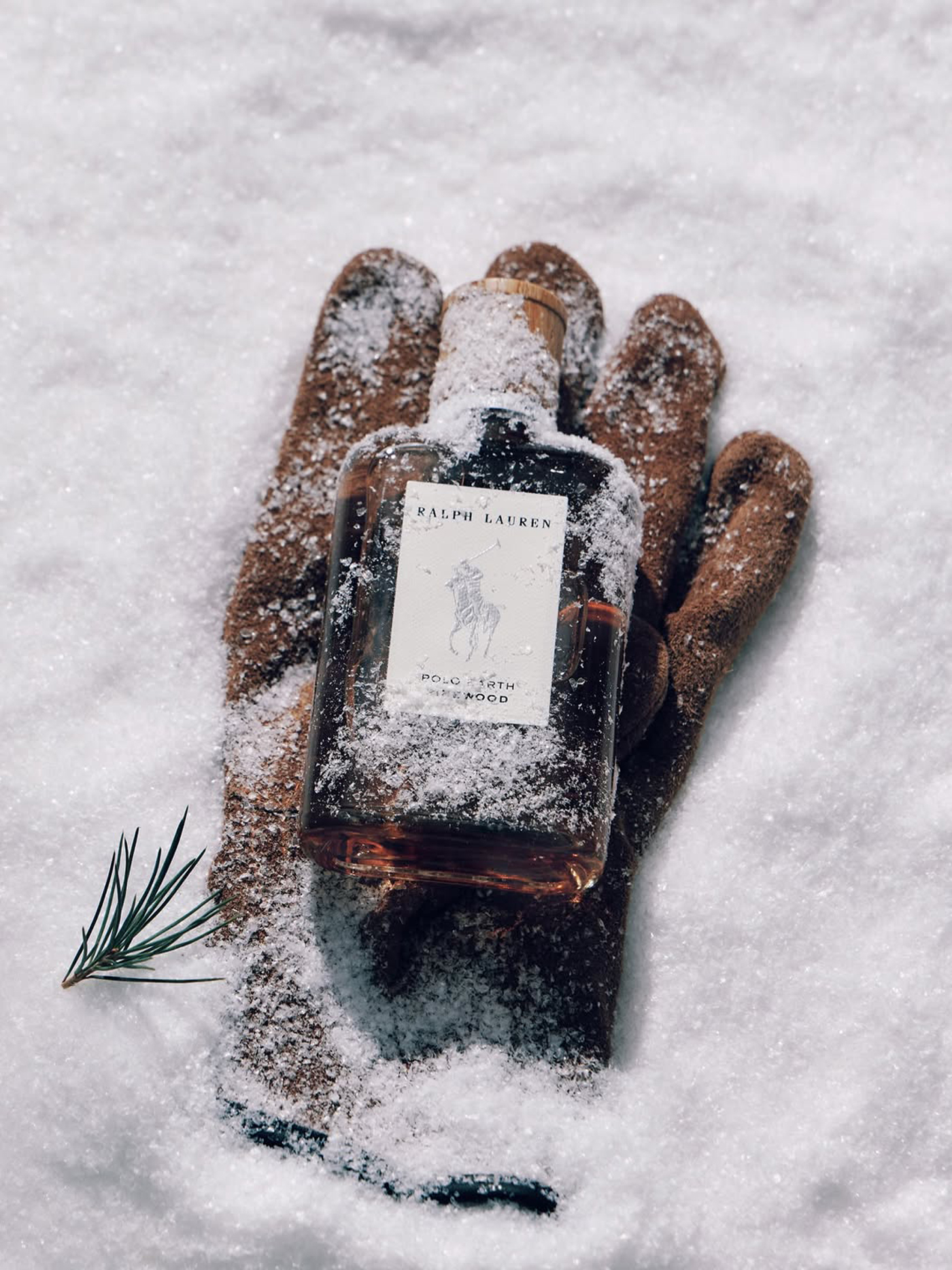 HOMEWORK® – Ralph Lauren Fragrances – Polo Earth – PINE